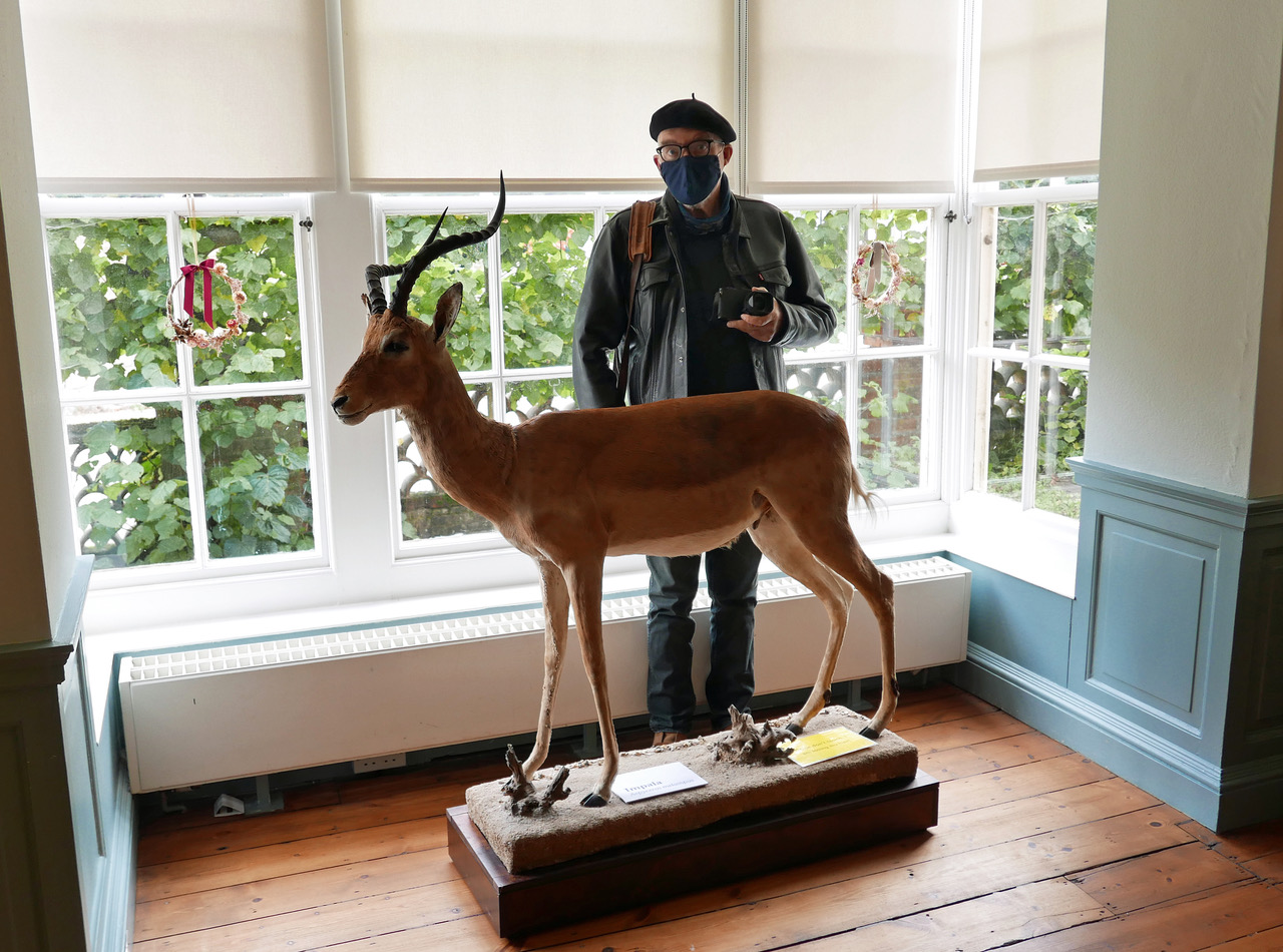 Jeremy and the motheaten impala – Dancing Ledge