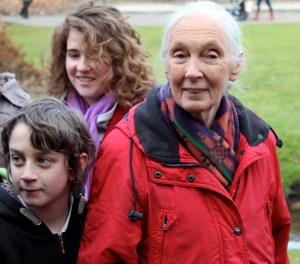 Celebrating Jane Goodall: 50 Years of Chimpanzee Research